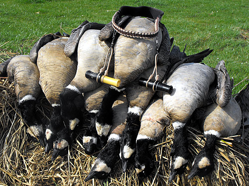 Snow Goose Calls – Welcome to Basin Waterfowl Calls
